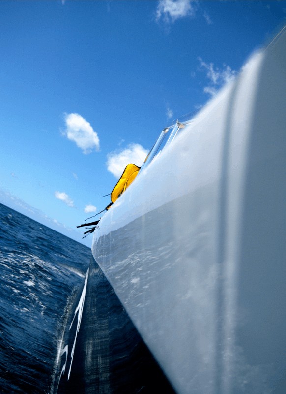 Shadowfax Cruises Grenada